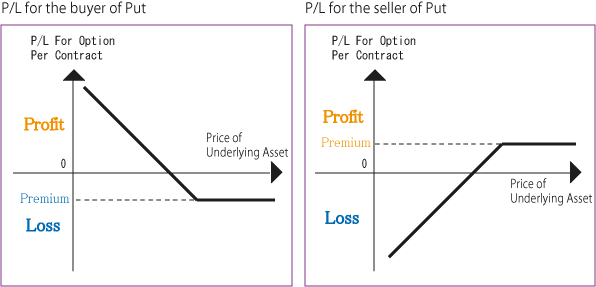 Summary Of Option Basics